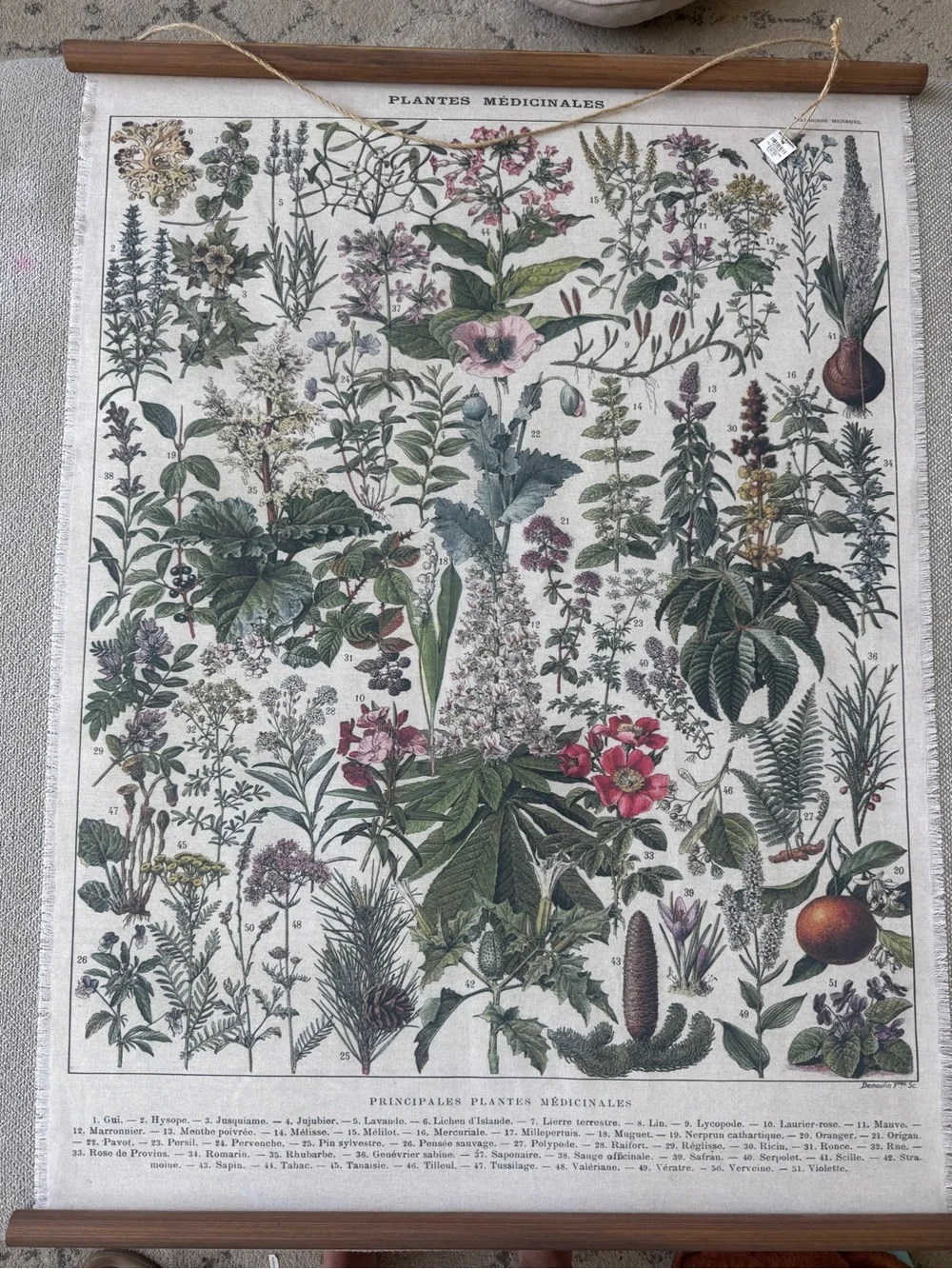 Cost Plus World Market | Accents | World Market Botanical Wall Hanging ...